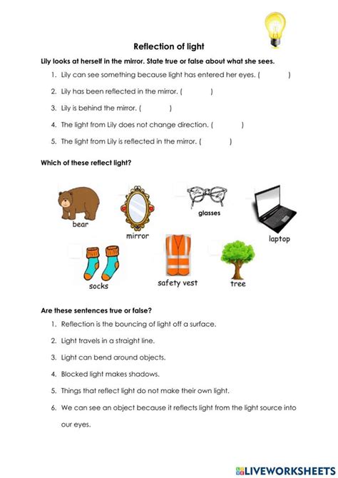 Reflection Of Light Exercise In 2025 Reflection Lesson Plan Templates Reflection And Refraction