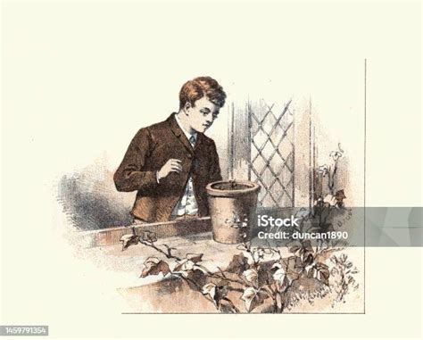 화분의 씨앗에서 사과나무를 키우는 소년 빅토리아 시대 어린이 미술 19세기 판화 제작물에 대한 스톡 벡터 아트 및 기타 이미지 판화 제작물 아이 원예 Istock