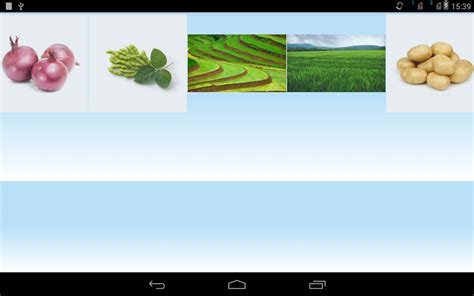 Java Data Binding With Two Sets Of Multiple Images Simultaneously