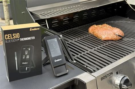 Kabelloses Thermometer Bei Aldi Für 39 99€ Das Enders Celsio Im Test Bbqpit De