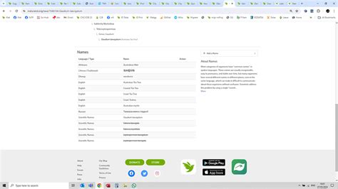 Curation Taxonomy Swap Does Not Transfer Regional Common Names Bug