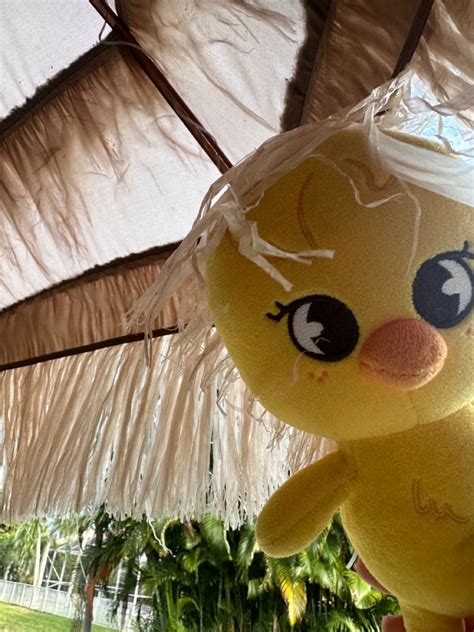 Bbokari💛 | Save, Kids, Kpop