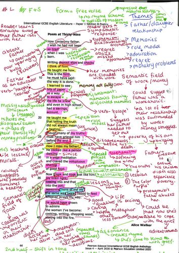 Poem At 39 By Alice Walker Annotations Teaching Resources