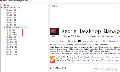 Redis 使用java代码操作redis 极客之音