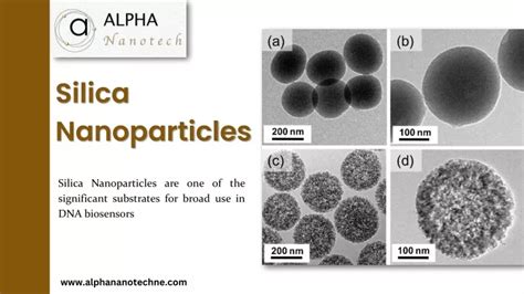 Ppt Silica Nanoparticles Powerpoint Presentation Free Download Id 12012501
