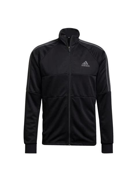 Кофта (олимпийка) adidas - Олимпийки Актау на Olx