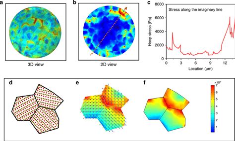 Finite Element Modeling Of The Cathode Polycrystalline Particles The Download Scientific