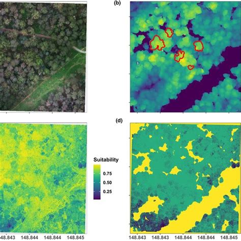 examples of uav imagery data products and spatial model prediction download scientific diagram