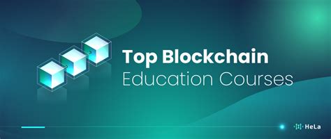 Top 7 Blockchain Education Courses In 2025 Hela