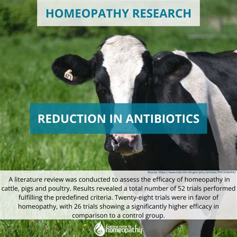 Livestock Reduction In Use Of Antibiotics National Center For