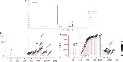 Representative Electropherograms Agilent Technologies Of Total RNA Download Scientific