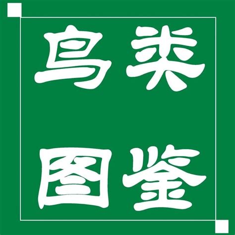 山西鸟类图鉴 白鹭 体型