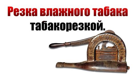 ТАБАК | Резка влажного табака табакорезкой. - YouTube