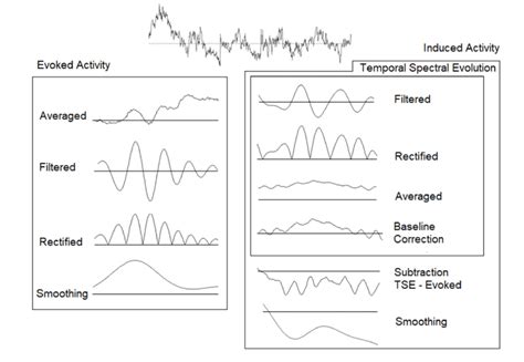 Temporal Spectral Evolution Tse Download Scientific Diagram