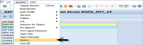 SAP Basis Upgrade Kernel Patching Simple About SAP Basis