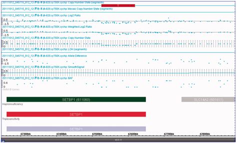 chromosomal microarray analysis detected a 93 kb chromosomal