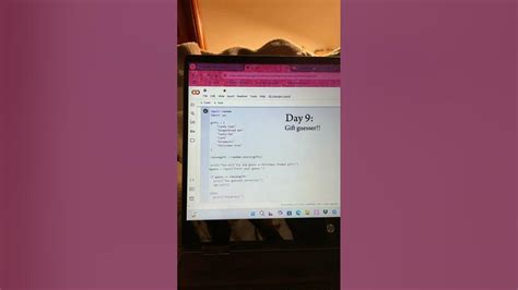 Day 9 T Guesser I Didnt Even Try To Make This Vid Aesthetically Pleasing 💯 Python Code