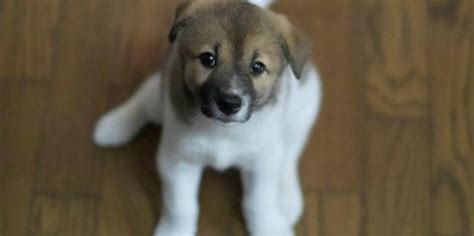 Love The One Super Bowl Ad You Have To See To Be Fully Human Yourtango