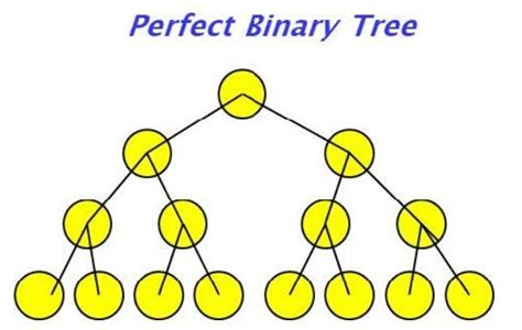 Solved Python A Perfect Binary Tree Looks Like The Chegg Com
