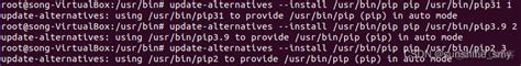 多版本python的pip共存 Pip和python版本mob6454cc716fb0的技术博客51cto博客