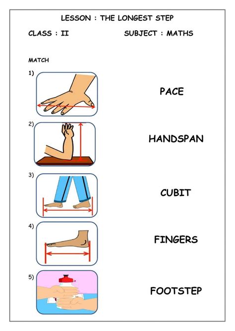 The Longest Step Worksheet Live Worksheets Worksheets Library