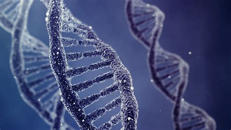 A New Programming Language That Can Shape Our Dna Coexist Ideas Impact
