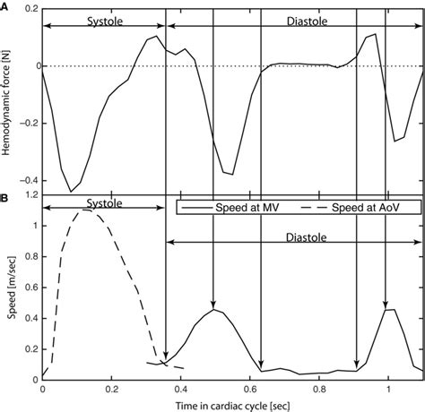 A The Magnitude Of The Hemodynamic Force [n] With Apex Direction As Download Scientific