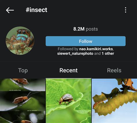 Bug Report The Recent Tab Is Missing Rinstander