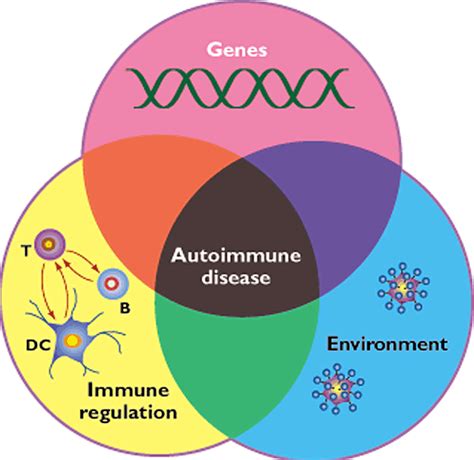 Lupus Treatment Causes Symptoms Tests And Diagnosis