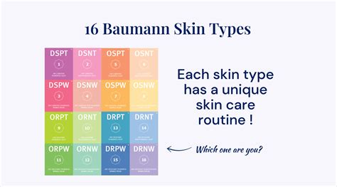 16 Baumann Skin Types