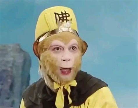 西游记颠覆认知的“混世四猴”，最少有两个是孙悟空的手下 哔哩哔哩