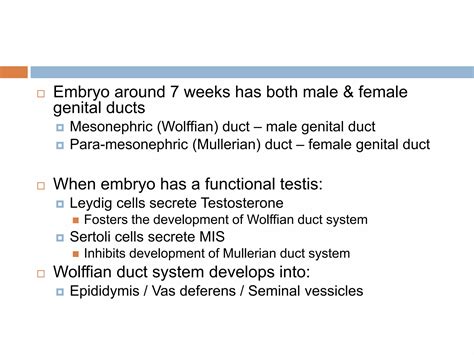 Sex Differentiation Pptx Reproductive Health Diseases And Conditions