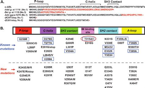 Bcr Abl Kinase Domain Mutations Identifi Ed In Freshly Isolated And