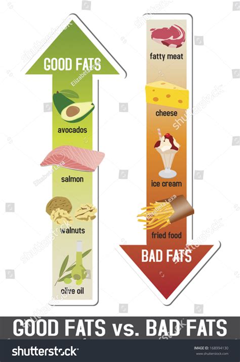 Good Fats And Bad Fats Polyunsaturated And Monounsaturated Fats Vs Saturated Or Trans Fatty