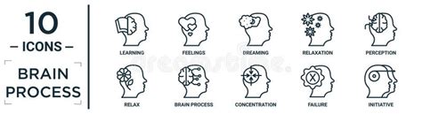Linear Perception Icon From Brain Process Outline Collection Thin Line Perception Vector