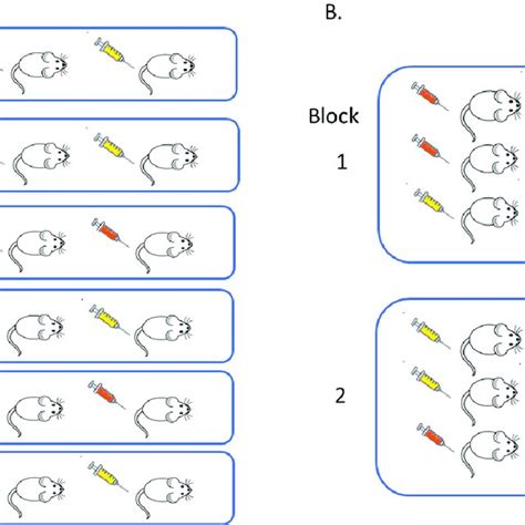 Understanding A Randomised Block Design Rbd In A Rbd Each Block Can Download Scientific
