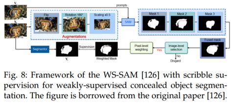 综述：分割一切模型sam的全面调研 知乎