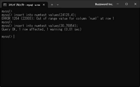 Mysql 固定小数点数型decimal Numeric