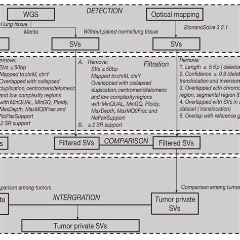 Workflow For Detection Of Structural Variants The Workflow For