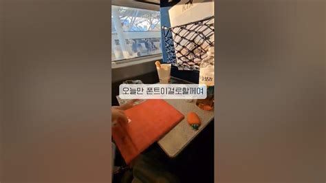 아이브 신곡 앨범깡 알고리즘 앨범깡 베디 아이브 Youtube