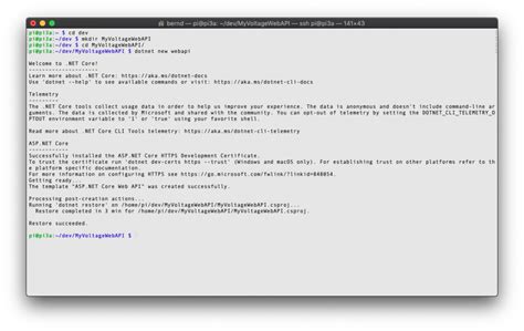 Aspnet Core Auf Dem Pi Unter Linux Bthinkfree