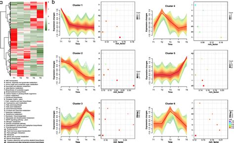 Gene Expression Profiles And Kegg Enrichment Analysis Of The Degs In