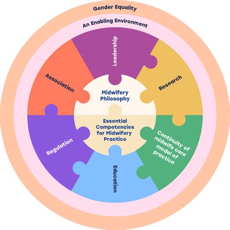 Professional Framework For Midwifery International Confederation Of Midwives
