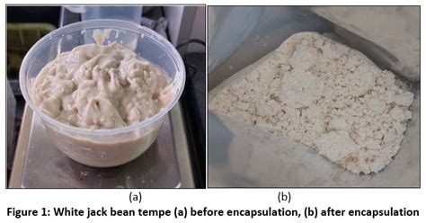 Ratio Variation Of Maltodextrin And Gum Arabic As Encapsulant On White