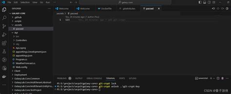 使用git crypt和gpg加密git代码库中的敏感信息（一） csdn博客