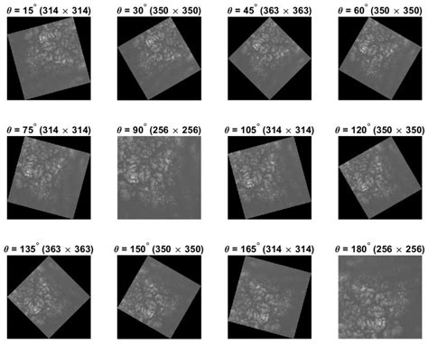 Watermarking For Remote Sensing Images Remote Sensing Mdpi Posted On