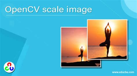 Opencv Scale Image Learn The Ways Of Scaling An In Image In Open Cv