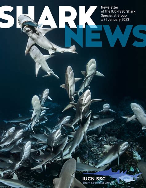 News Iucn Ssc Shark Specialist Group