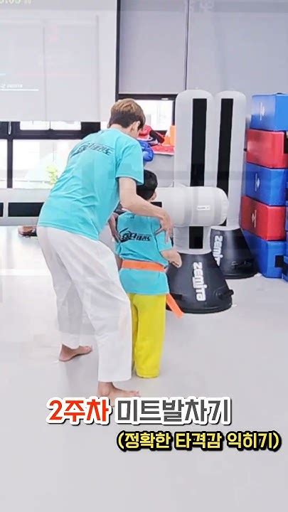 효율적인 발차기 커리큘럼🧏발차기 커리큘럼 발차기커리큘럼 4주완성 전자호구겨루기 전자호구 Ai Ai프로그램 제미타 Jemita 대구태권도 옥포태권도