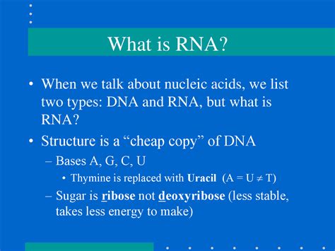 Protein Synthesis Lecture Notes Genetics Docsity
